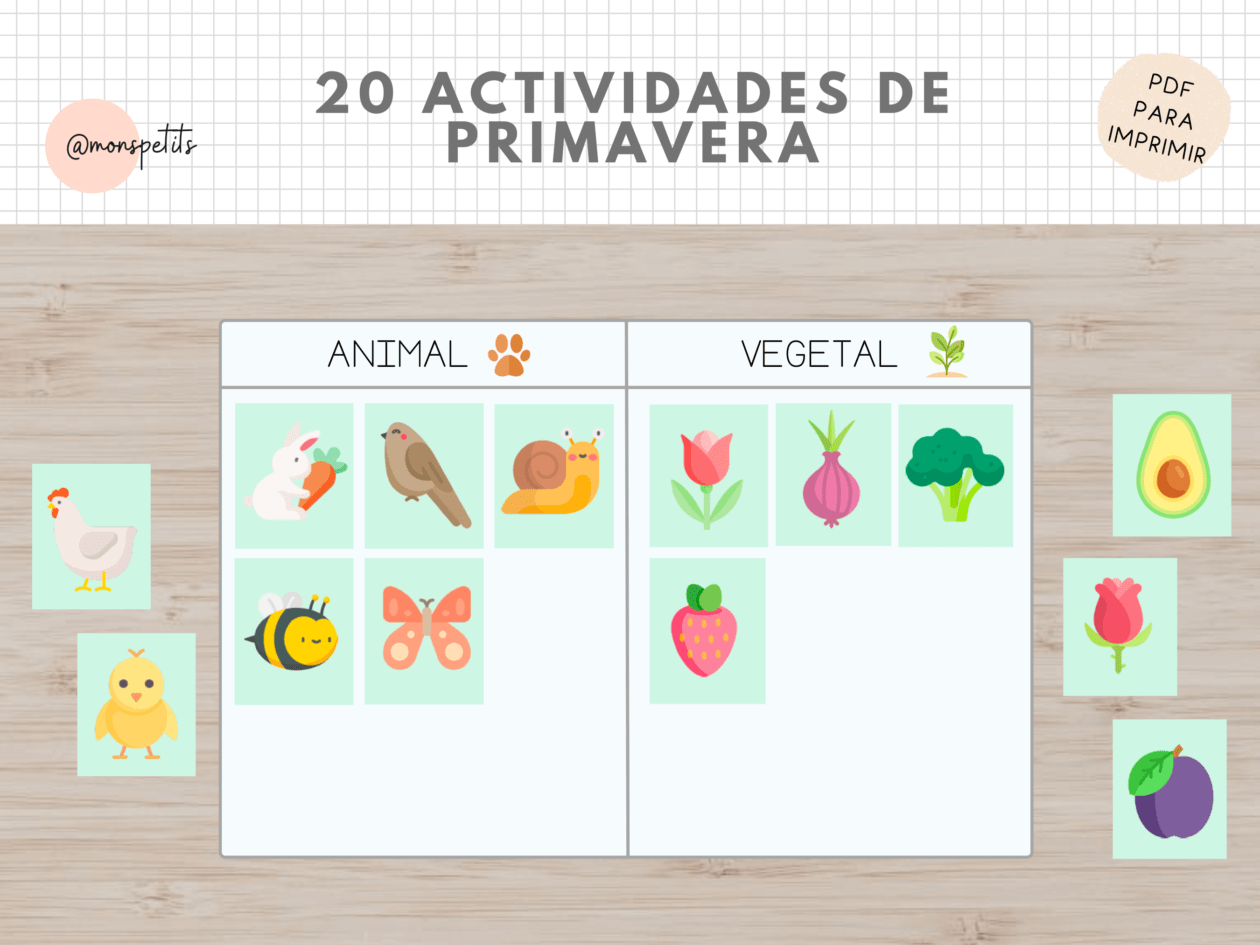 20 actividades de primavera para descargar e imprimir – Educación ...
