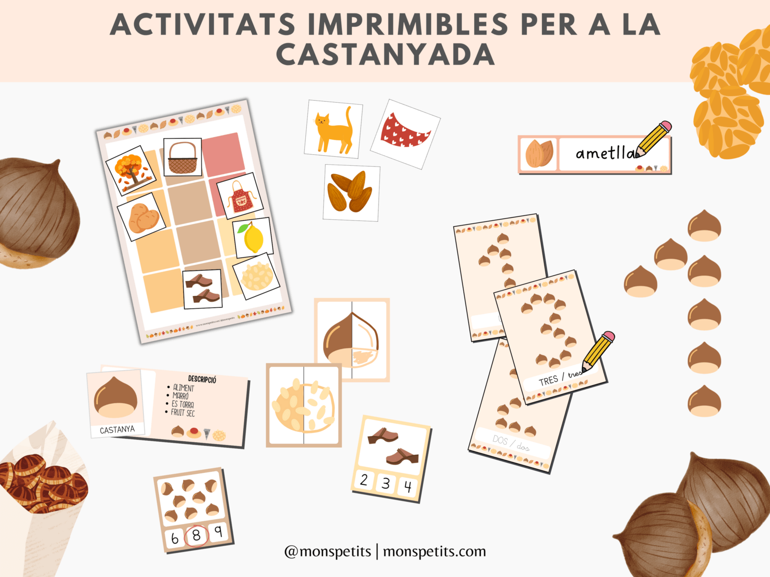 Actividades para celebrar la Castanyada en el aula de infantil ...