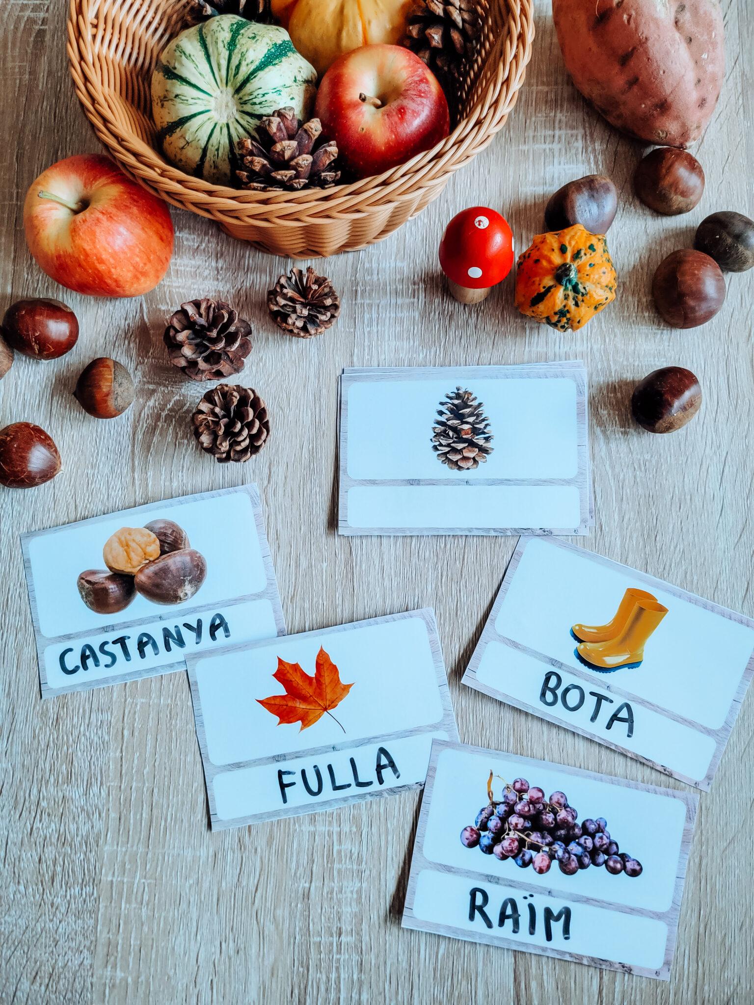 Actividades de otoño para trabajar matemáticas y lectoescritura en ...