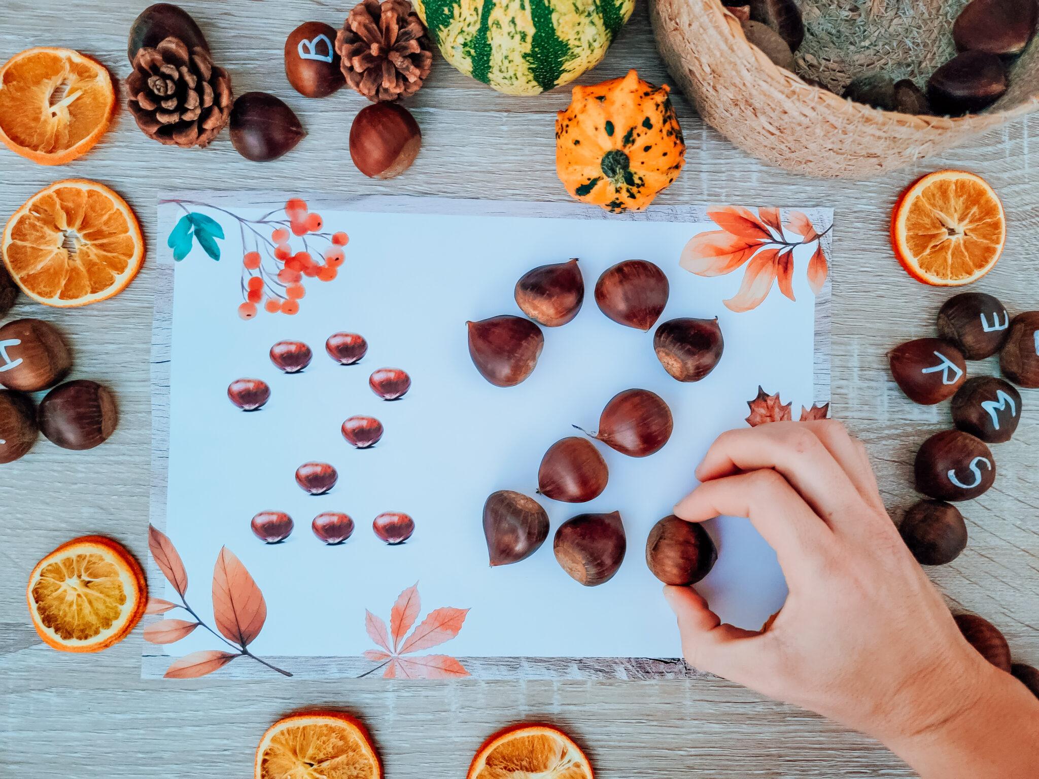 Aprender en otoño: ideas de actividades + imprimible gratis – MonsPetits