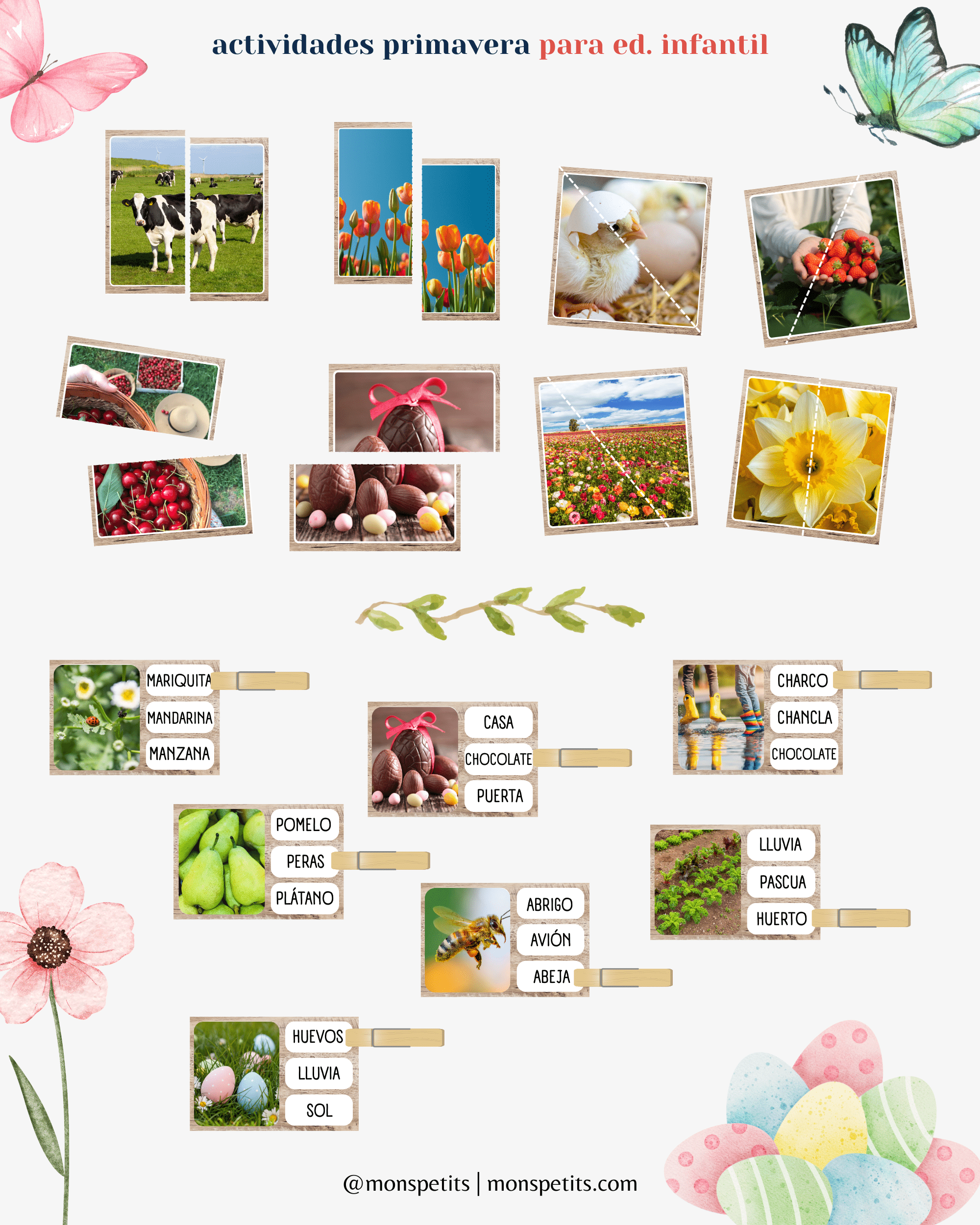 Actividades de primavera para Educación Infantil (con imágenes reales ...